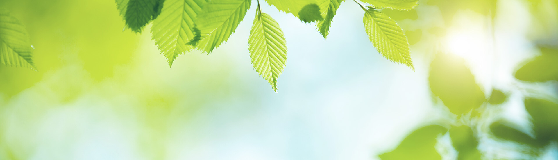 Contact | Olalla Recovery Centers